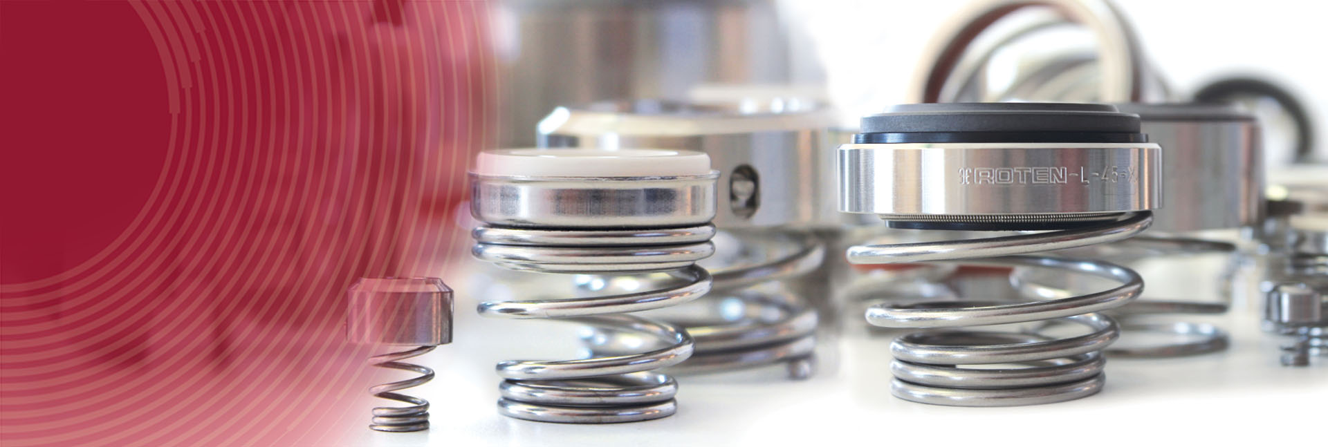 Roten – Mechanical Seals